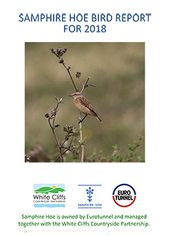 Website - Samphire Hoe