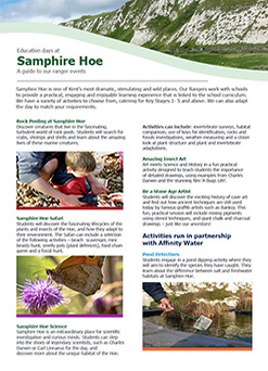 Website - Samphire Hoe